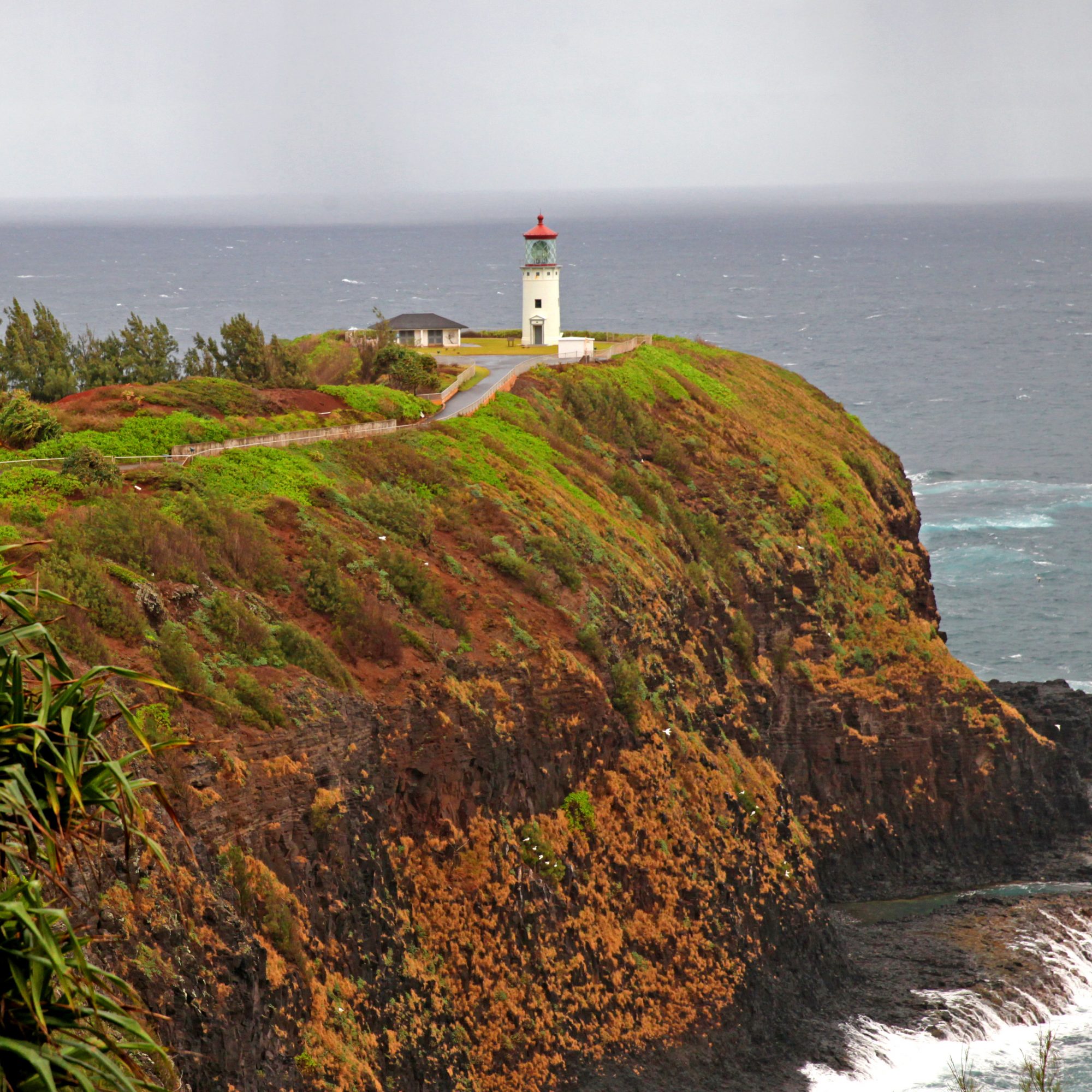 En Route | Opakapaka Grill & Bar